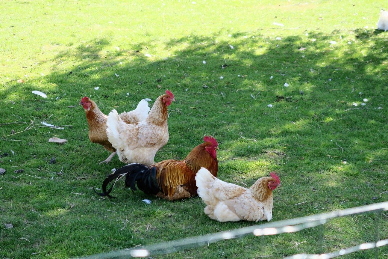 Présentation de la commune - Frépillon (95)